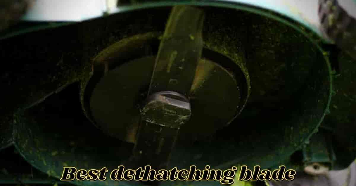 5 Best Dethatching Blade (Review of the Lawn Cleaners)