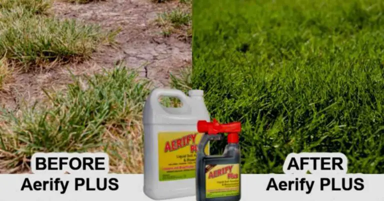 Aerify Plus Review (Hardened Soil’s Remedy)