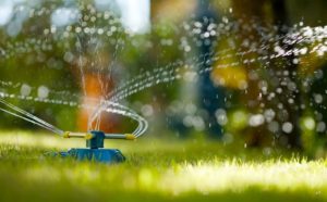 Recommended Sprinkler Run Times: Best Tips And Helpful