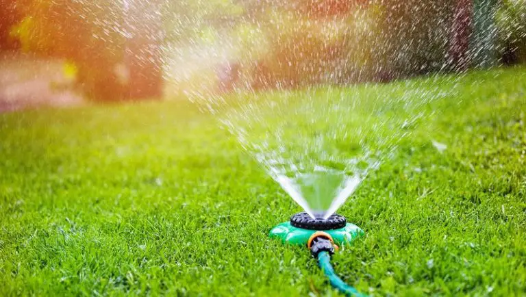 Recommended Sprinkler Run Times: Best Tips And Helpful