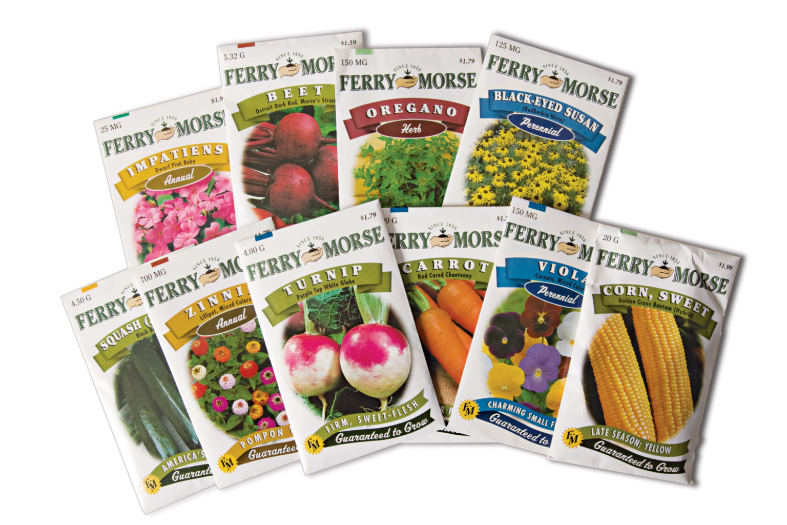 Are Ferry Morse Seeds Good? Read Before You Buy!